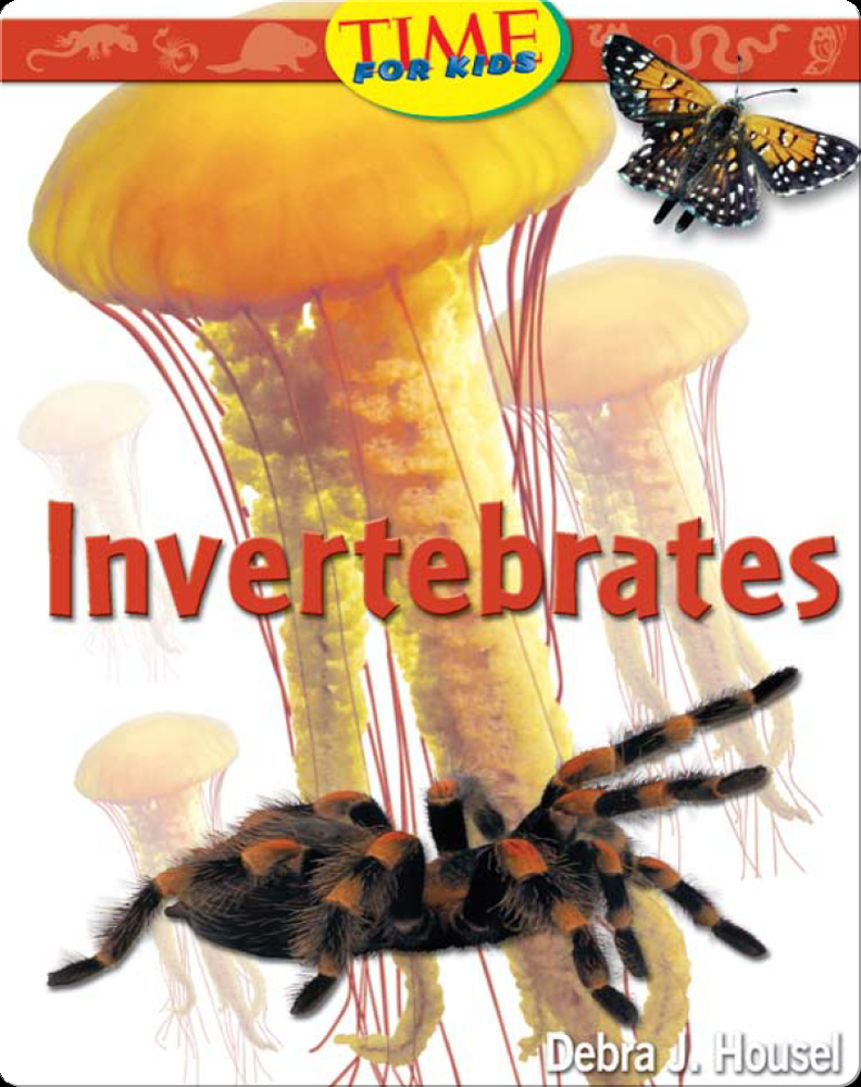 Invertebrates Children's Book by Debra J. Housel | Discover Children's ...