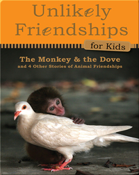 Look Out for Litter Children's Book by Lisa Bullard With Illustrations ...