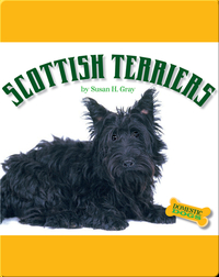 Why Do Kittens Do That?: Real Things Kids Love to Know Children's Book ...