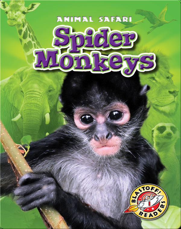 Spider Monkeys Children's Book by Megan Borgert-Spaniol | Discover ...
