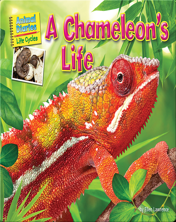 A Chameleon's Life Children's Book by Ellen Lawrence | Discover ...