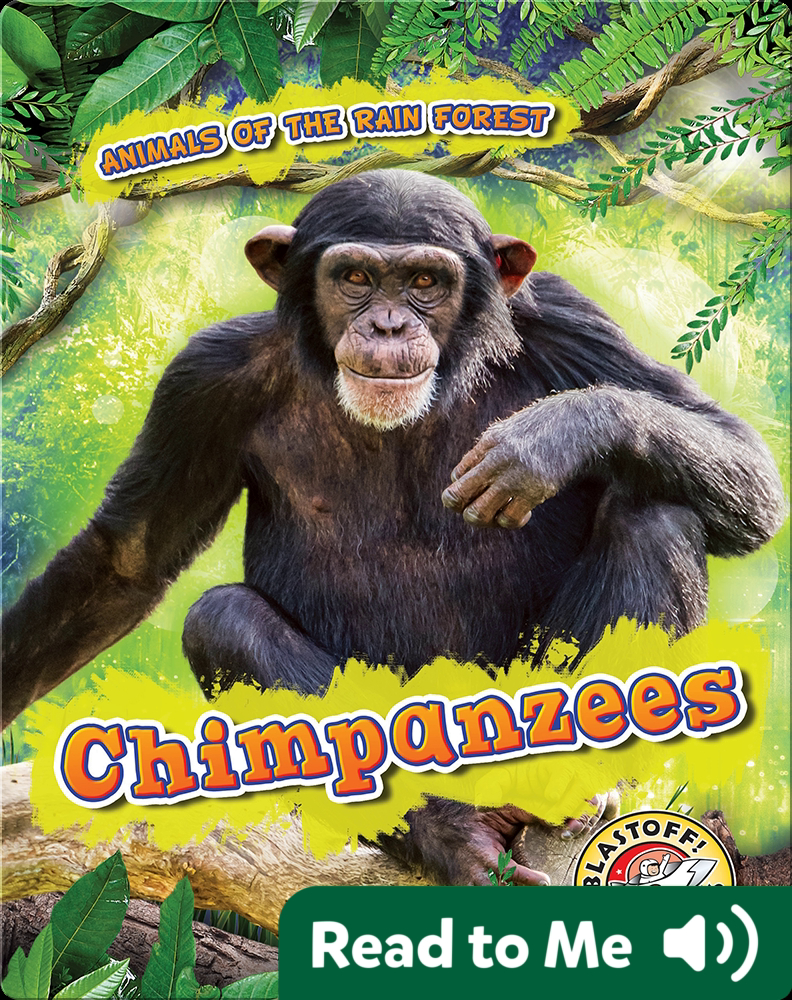 Chimpanzees Children's Book by Rachel Grack | Discover Children's Books ...