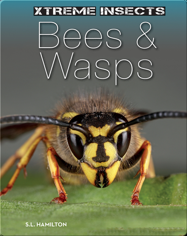 Bees & Wasps Children's Book by S.L. Hamilton | Discover Children's ...