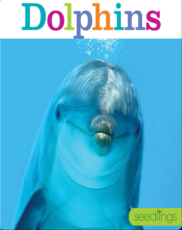 Dolphins Children's Book by Kate Riggs | Discover Children's Books ...