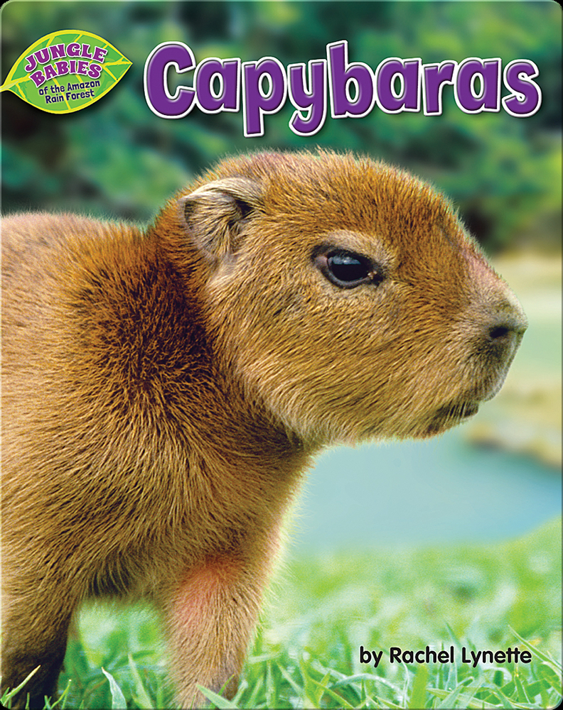 Capybaras Children's Book by Rachel Lynette | Discover Children's Books ...