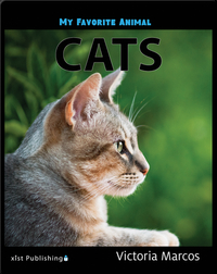 Why Do Kittens Do That?: Real Things Kids Love to Know Children's Book ...