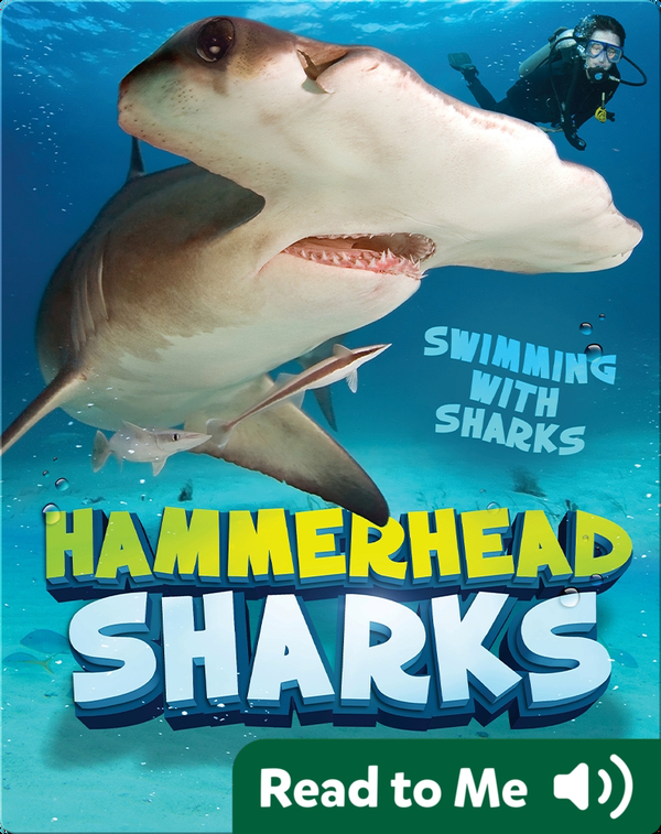 Hammerhead Sharks Children's Book by David Dexter | Discover Children's ...