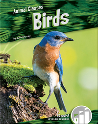 Baby Zoo Animals: Elephants Children's Book by Josh Gregory | Discover ...