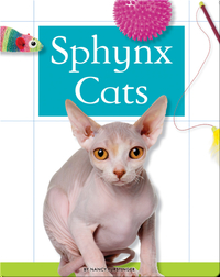 Why Do Kittens Do That?: Real Things Kids Love to Know Children's Book ...