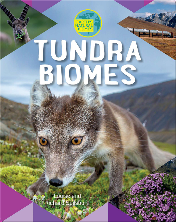 Tundra Biomes Children's Book by Louise Spilsbury, Richard Spilsbury ...