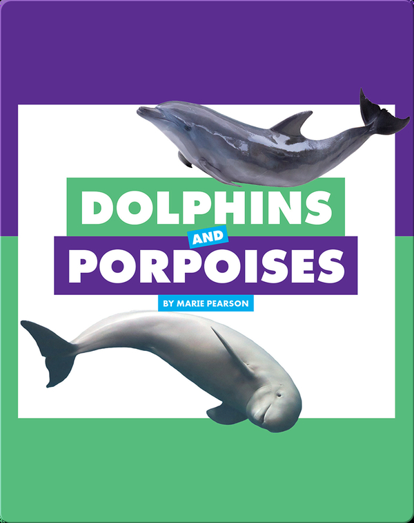 Comparing Animal Differences: Dolphins and Porpoises Children's Book by ...