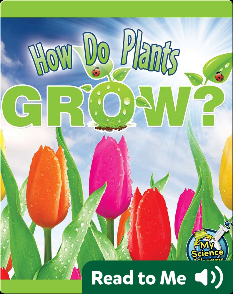 How Do Plants Grow? Children's Book by Julie Lundgren | Discover ...