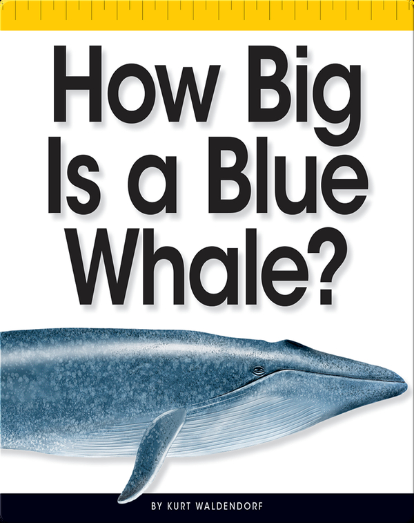 How Big Is a Blue Whale? Children's Book by Kurt Waldendorf | Discover ...