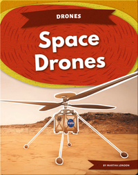 Disaster Zone: Tsunamis Children's Book by Cari Meister | Discover ...