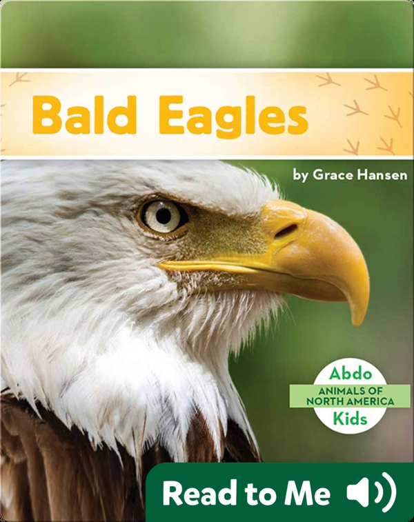 Bald Eagles Children's Book by Grace Hansen | Discover Children's Books ...