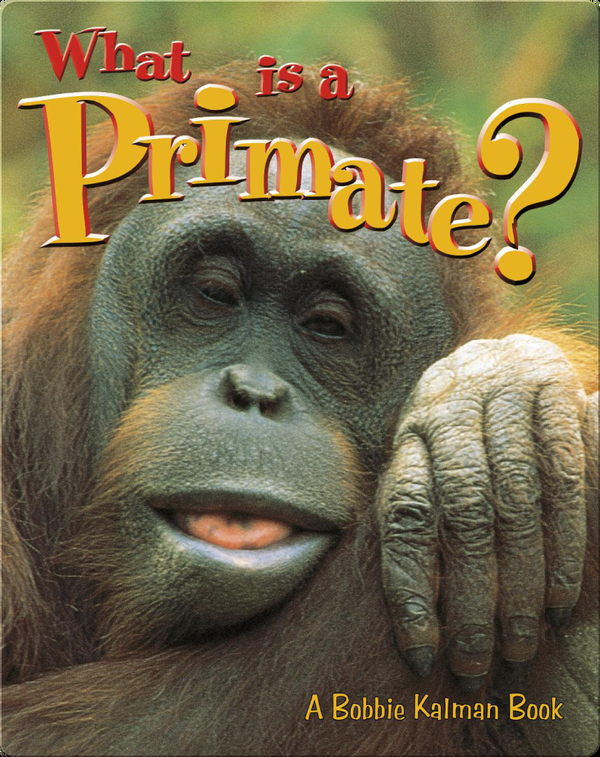 What is a Primate? Children's Book by Bobbie Kalman, Heather Levigne ...