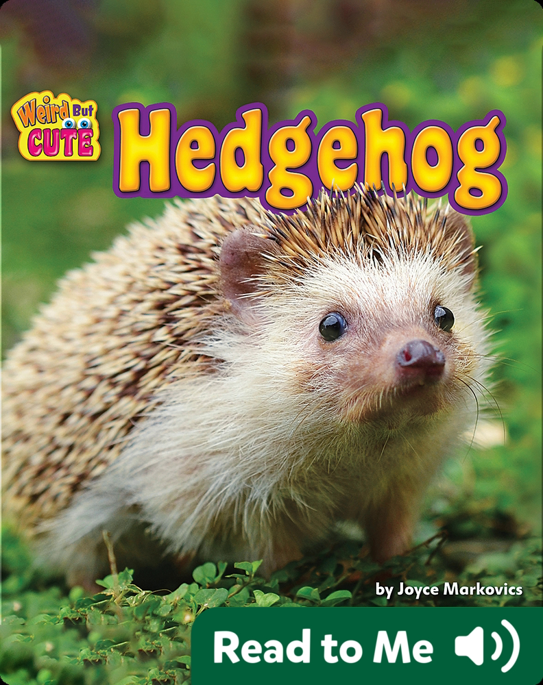 Hedgehog Children's Book by Joyce Markovics | Discover Children's Books ...