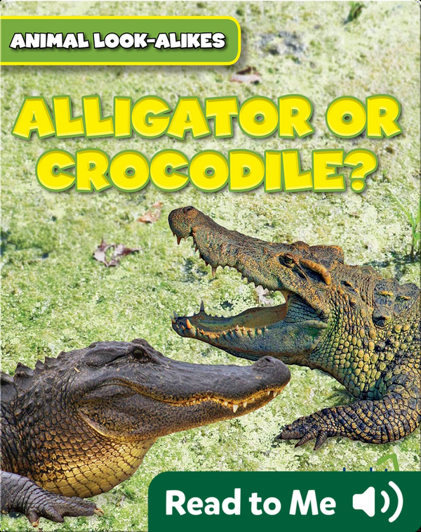 Alligator or Crocodile? Children's Book by Rob Ryndak | Discover ...