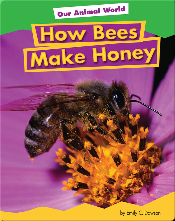 How Bees Make Honey Children's Book by Emily C. Dawson | Discover ...
