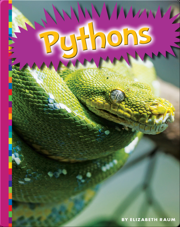 Pythons Children's Book by Elizabeth Raum | Discover Children's Books ...
