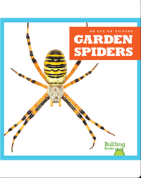 National Geographic Readers: Spiders Children's Book by Laura Marsh ...