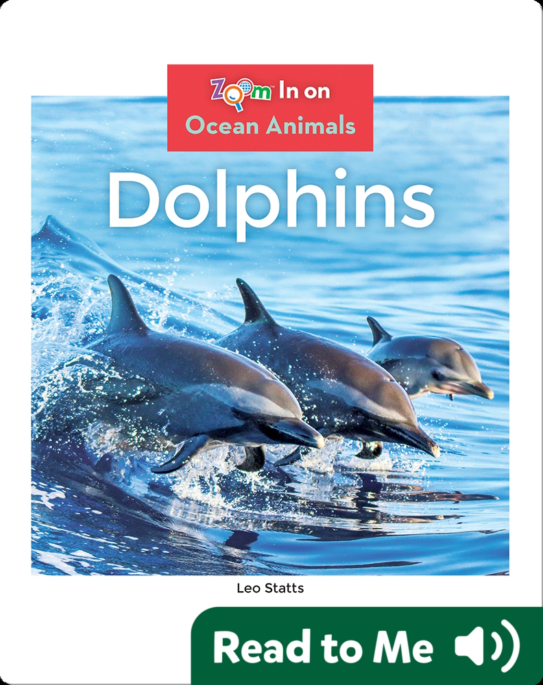 Dolphins Children's Book by Leo Statts | Discover Children's Books ...