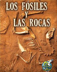 Las Rocas, Los Minerales Y El Suelo (Rocks, Minerals, and Soil ...