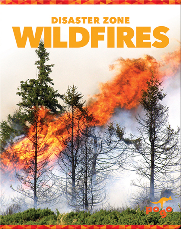 Disaster Zone: Wildfires Children's Book by Vanessa Black | Discover ...