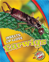 Sea Turtles: Oceans Alive Children's Book by Ann Herriges | Discover ...