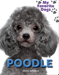 Goldendoodles Children's Book by Ruth Owen | Discover Children's Books ...