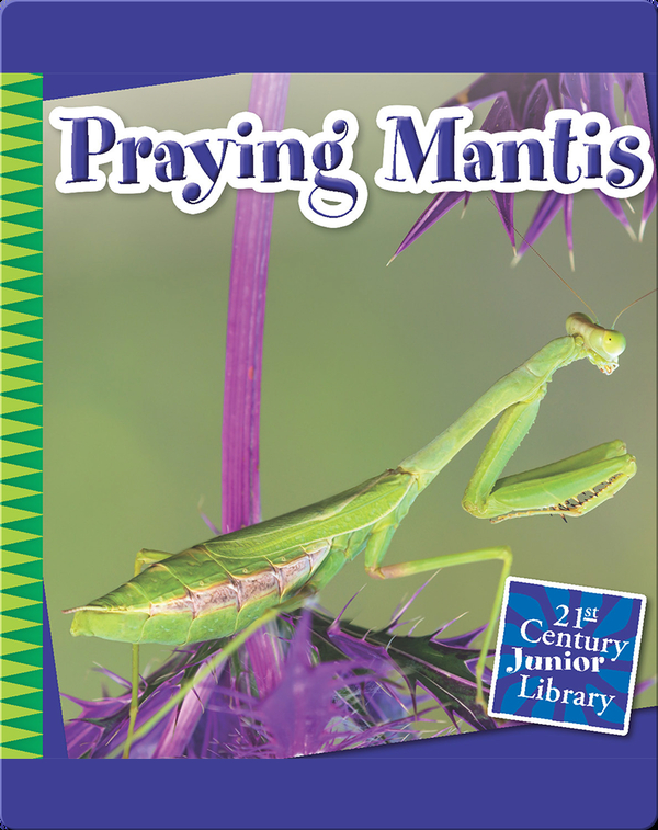Praying Mantis Children's Book by Tamra B. Orr | Discover Children's ...