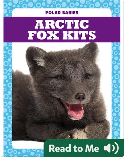 Arctic Fox Children's Book Collection | Discover Epic Children's Books ...
