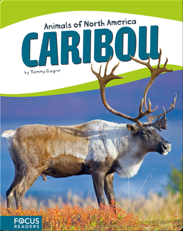 Caribou Children's Book by Tammy Gagne | Discover Children's Books ...