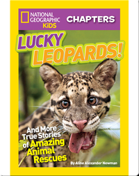 National Geographic Kids Chapters: Dog Finds Lost Dolphins Children's ...