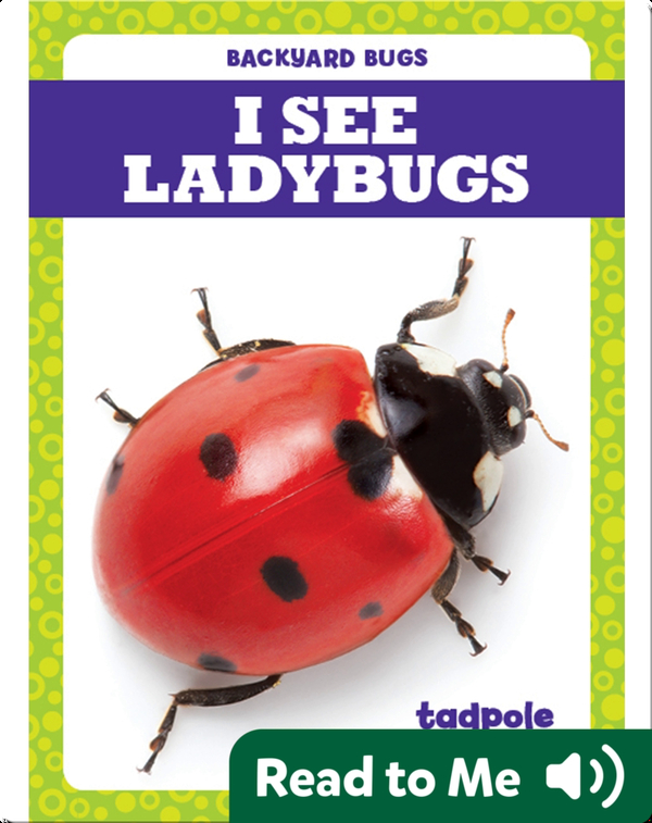 I See Ladybugs Children's Book by Genevieve Nilsen | Discover Children ...