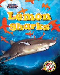 Shark Frenzy: Great White Sharks Children's Book by Thomas K. Adamson | Discover Children's ...