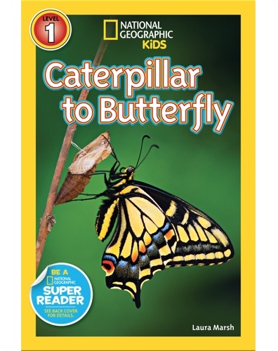 Caterpillar Children's Book Collection | Discover Epic Children's Books ...