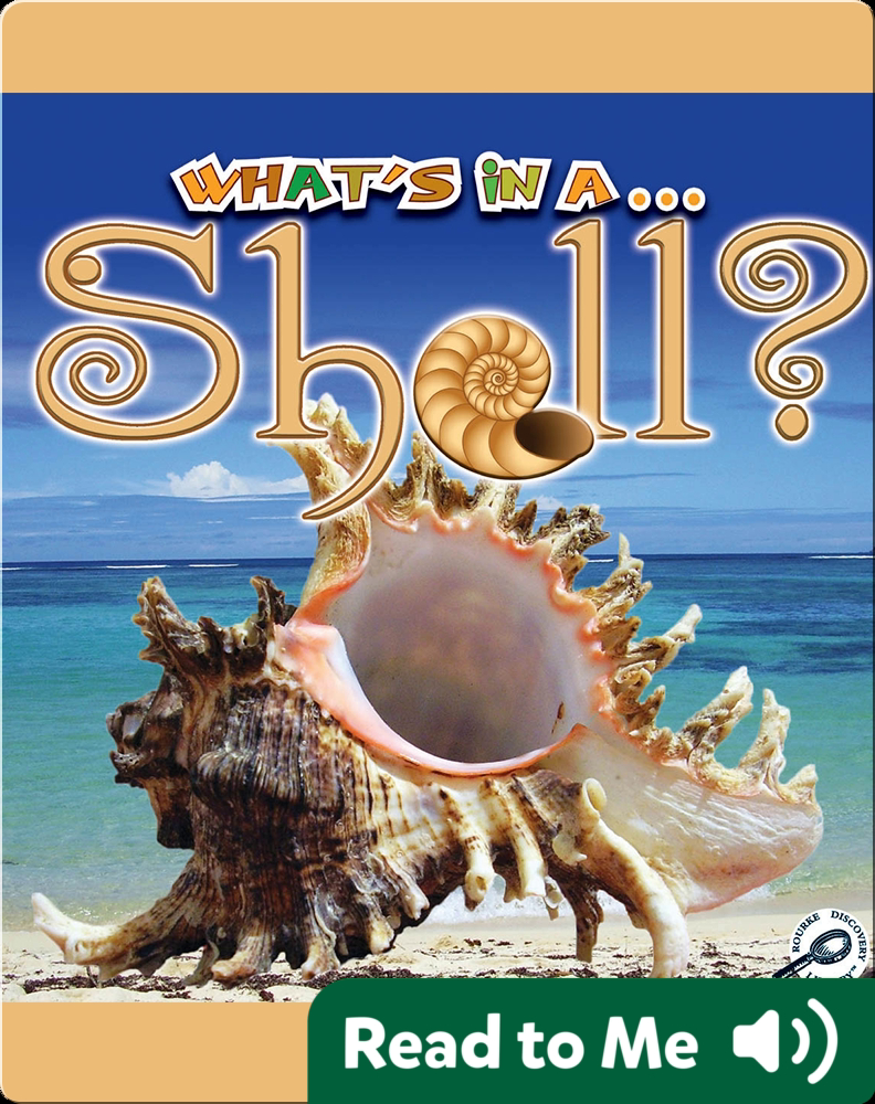 What's In A... Shell? Children's Book by Tracy Nelson Maurer | Discover ...