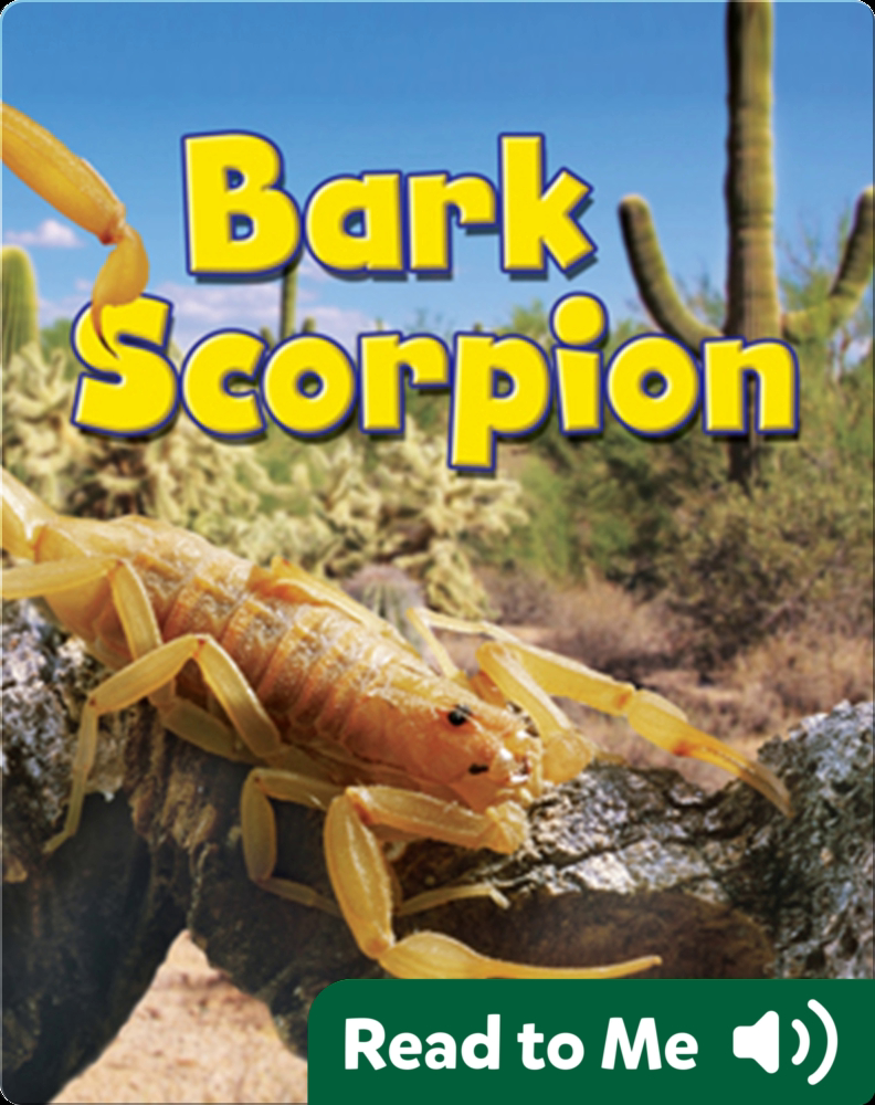 Bark Scorpion Children's Book by Meish Goldish | Discover Children's ...