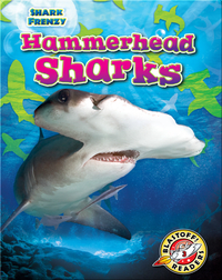 Shark Frenzy: Great White Sharks Children's Book by Thomas K. Adamson | Discover Children's ...