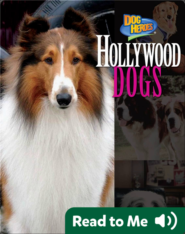 Hollywood Dogs Children's Book by Meish Goldish | Discover Children's ...