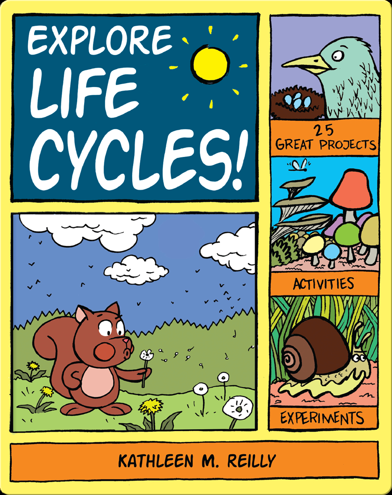 Explore Life Cycles! Children's Book by Kathleen M. Reilly With ...