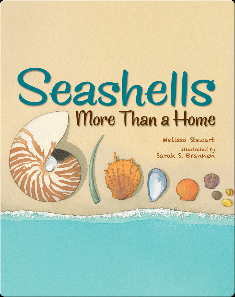 Seashells Children's Book by Melissa Stewart With Illustrations by ...