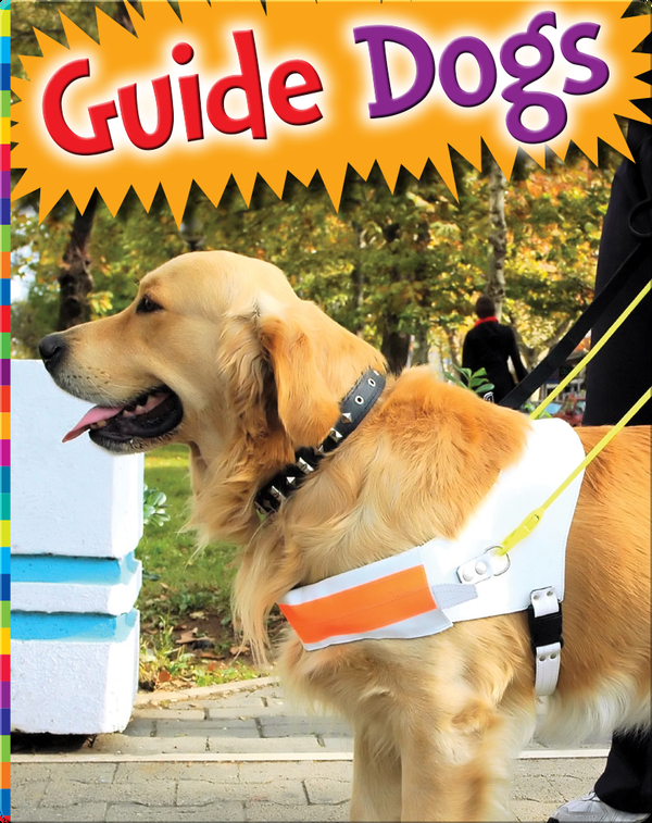 Guide Dogs Children's Book by Elizabeth Raum | Discover Children's ...