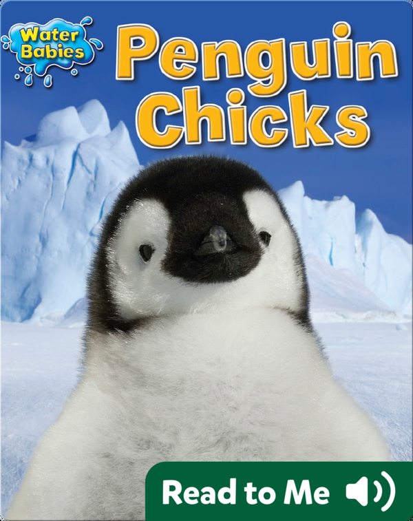 Penguin Chicks Children's Book by Ruth Owen | Discover Children's Books ...