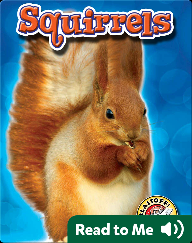 Squirrels: Backyard Wildlife Children's Book by Derek Zobel | Discover ...
