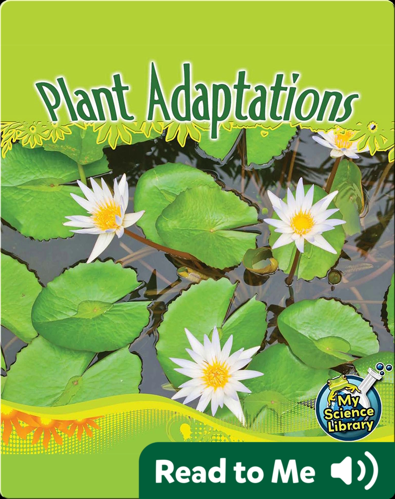 Plant Adaptations Children's Book by Julie Lundgren | Discover Children ...