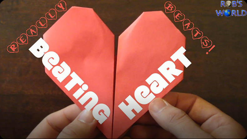 How to Make an Origami Beating Heart Video | Discover Fun and ...