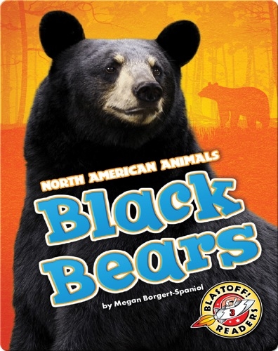 Bears Children's Book Collection | Discover Epic Children's Books ...