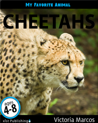 Big Cats: Cheetahs Children's Book by Claire Archer | Discover Children ...